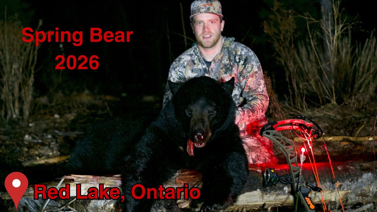 Solo Spring Bear Hunt | Red Lake Ontario