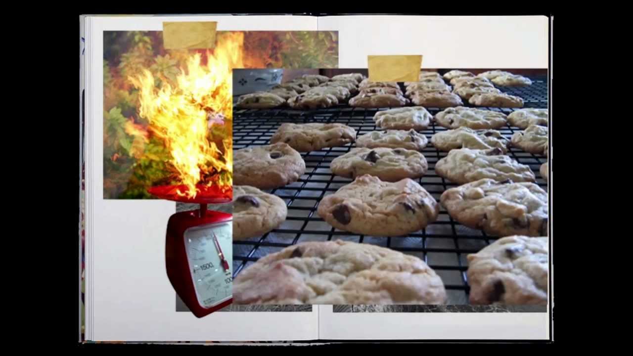 Submerged Aquatic Macrophytes