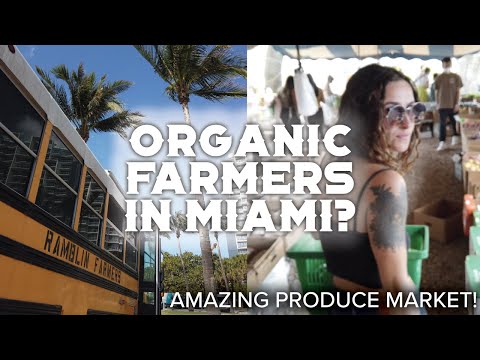 AMAZING Miami ORGANIC Farmer's Market (Coconut Grove) - Florida Winter VAN LIFE in #magpiethebus