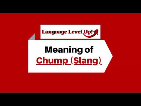 Chump Meaning | Language Level Up