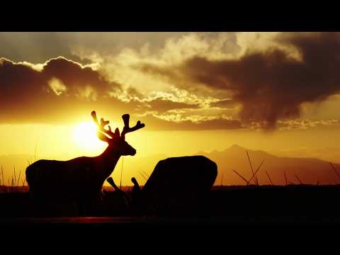 These Are Your National Wildlife Refuges