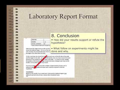 Lab Report and Experimental Design