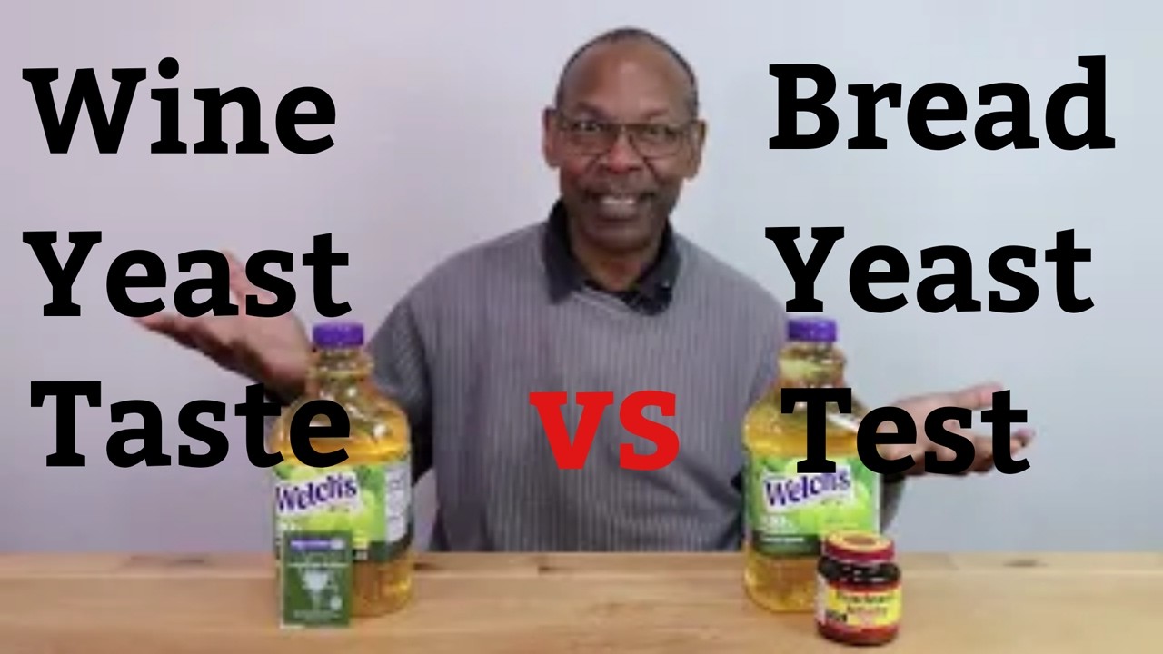 Wine vs Bread Yeast Taste Test