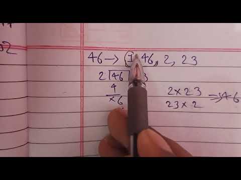 factors of 46
