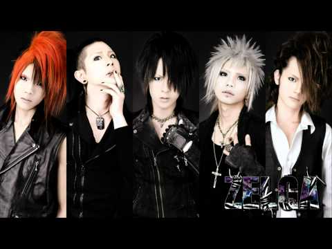 ZELGA profile | ZELGAプロフィール | vkgy (ブイケージ)