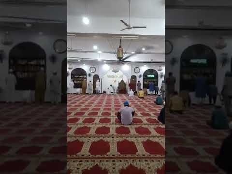 Amazing Extra large Ceiling Fan || Dream Creation