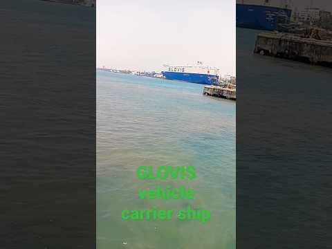 glovis vehicles carriers.