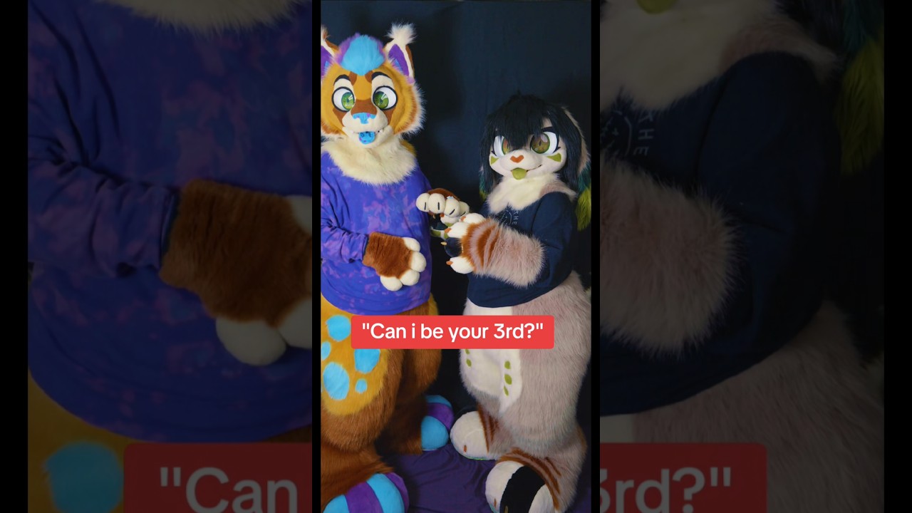 POV: the furry fandom