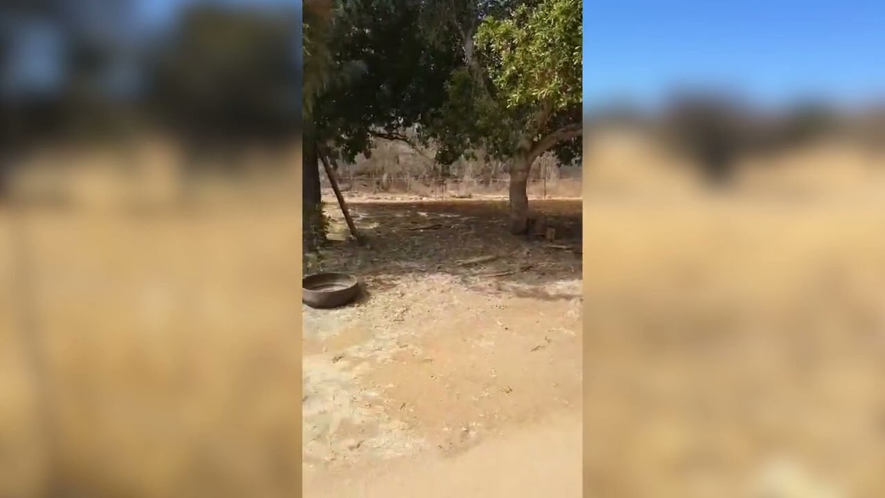 Farm for sale, Mokopane