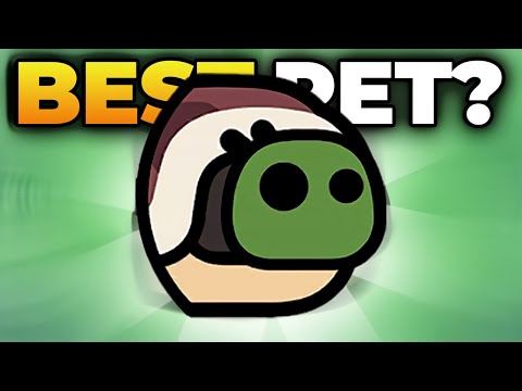 Why Are Japanese Players Suddenly Using Shelly in Survivor.io?