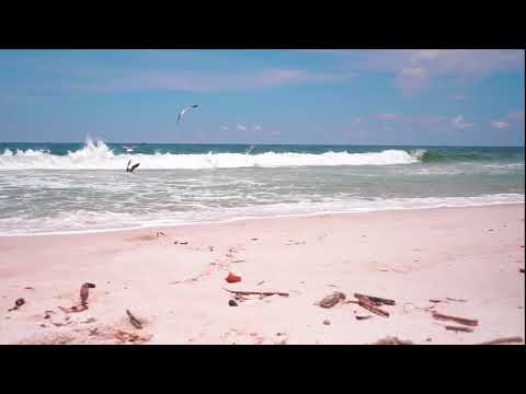 Relaxing Beach Ambiance - 3 Hours on the Gulf of Mexico HD (Waves, Breeze and Seagulls)