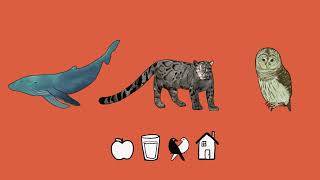 Explore Animal Adaptations | Smithsonian Video for Kids | Smithsonian ...