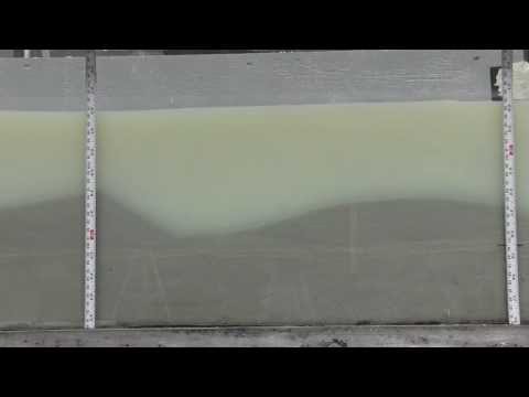 Fine sediment deposition and storange in sandy fluvial systems: mid concentration 20x