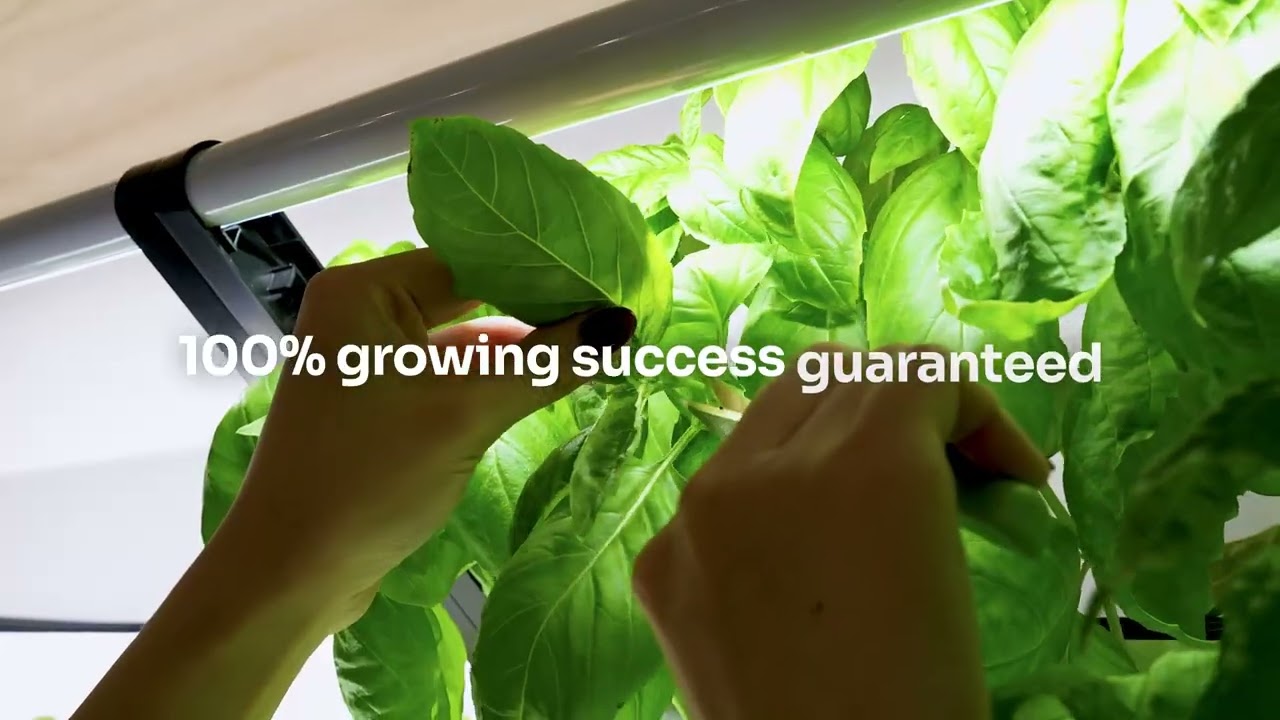 Grobrix beautiful indoor urban farms for the workplace