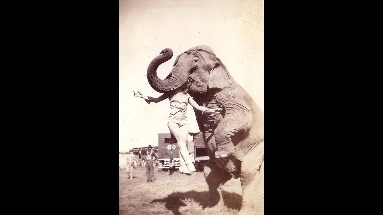 23Haunting Photos of Vintage Circus May Give You a Nightmare