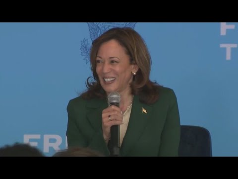 Kamala Harris rebrands with 'Brat girl summer'