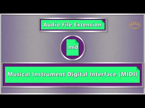 Full Forms of Computer File Extensions Part-2 -- Audio File Format -- Document File Format