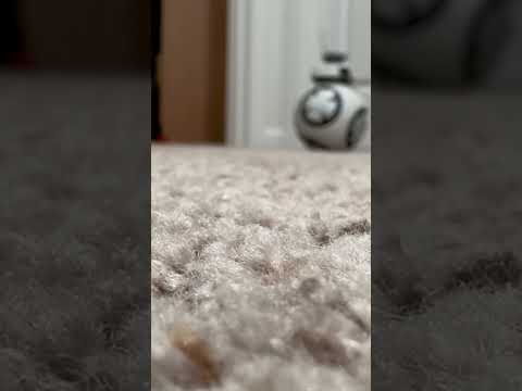 Pov: You own a droid in 2025 (Rhymes with Grug)