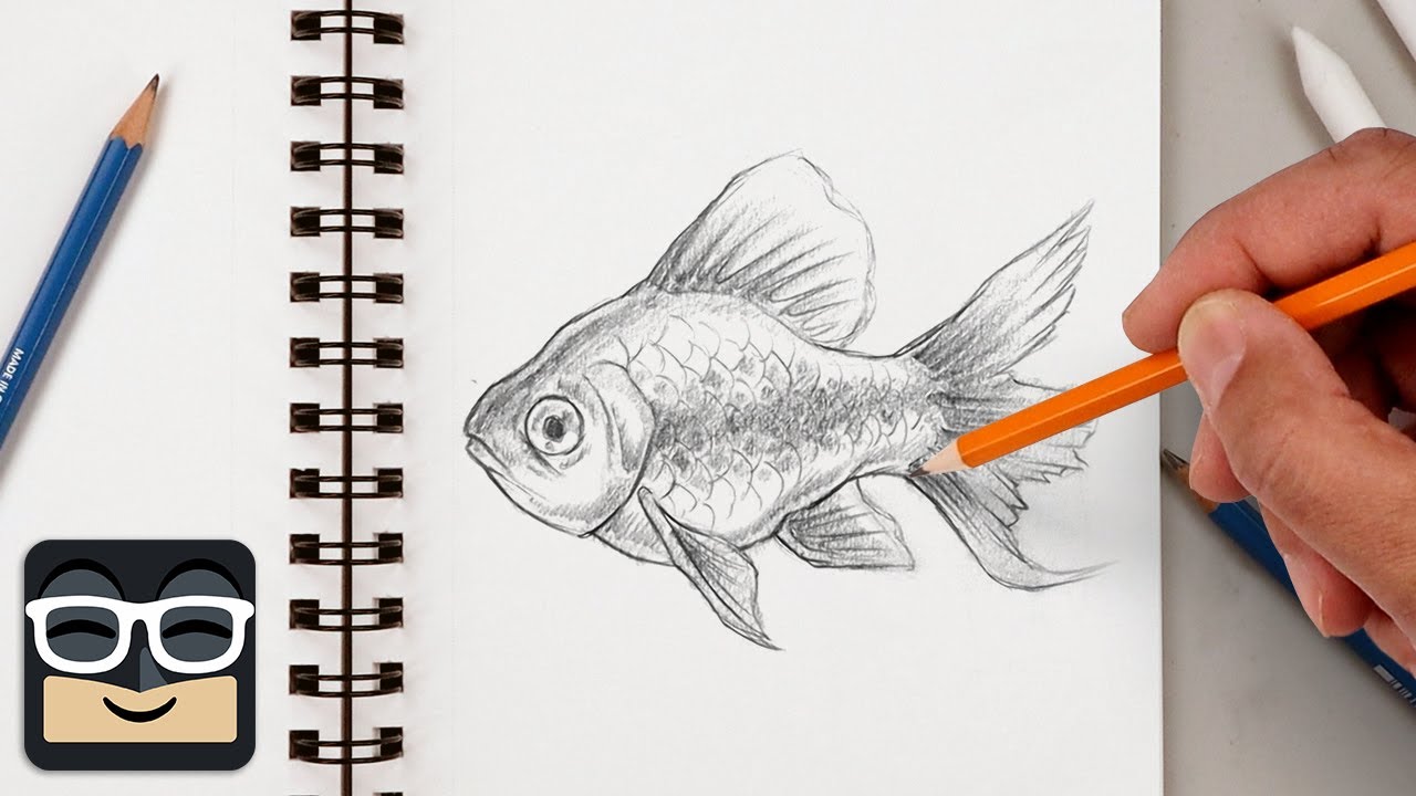How to Draw a Realistic Goldfish | Step by Step Sketch Tutorial