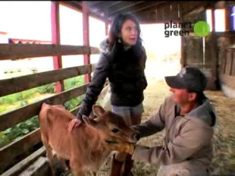 G-Word: What IS Organic?