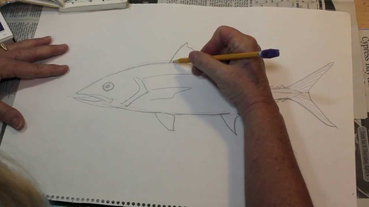 How to Draw a Fish the Easy Way - Spanish Mackerel