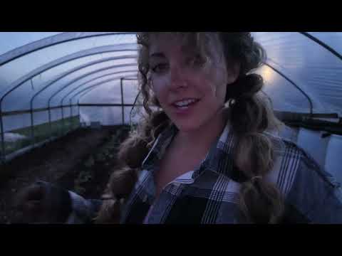 Building An Instant Garden