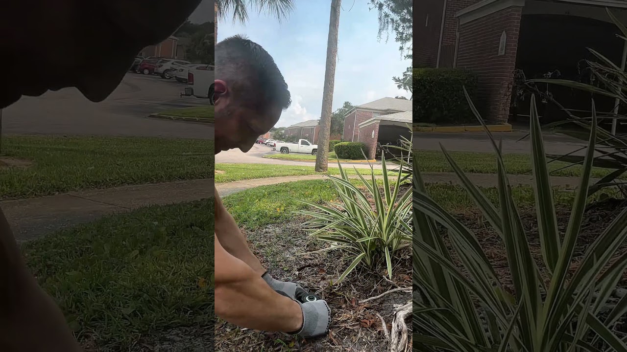 Fast, Noninvasive Slash Shield™ Installation