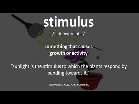 Meaning of stimulus in english