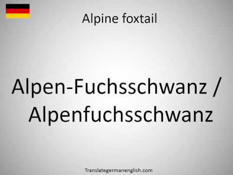 How to say Alpine foxtail in German?