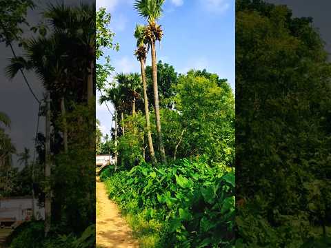 Under The BLUE Sky😃🌎!!#shorts #sky #viralvideo #foryou #viralvideo