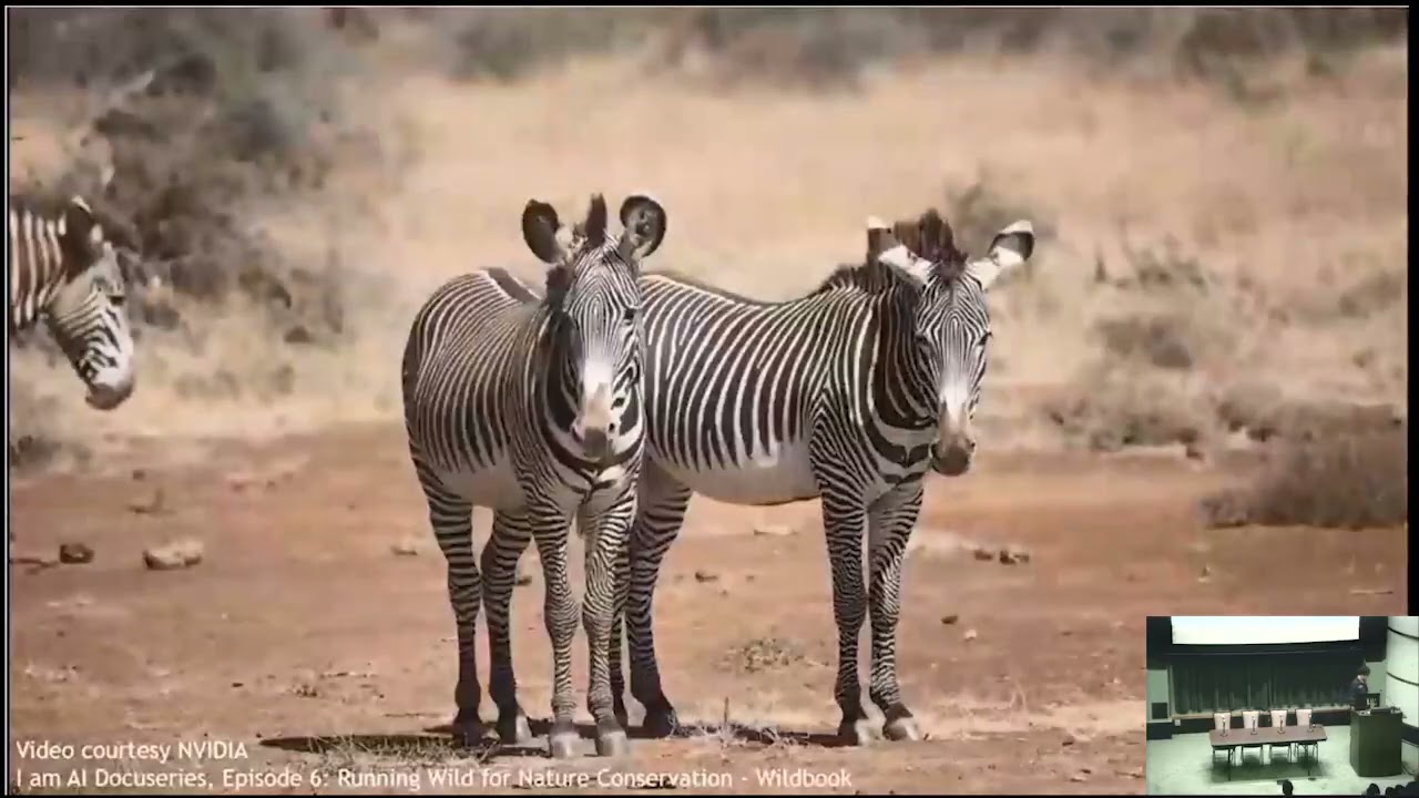 MIDAS: Responsible Data Science and AI mini-symposium, “Human-machine partnership for conservation”