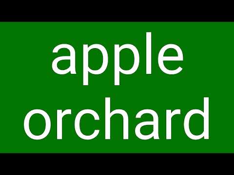 Apple Orchard Definition & Meaning