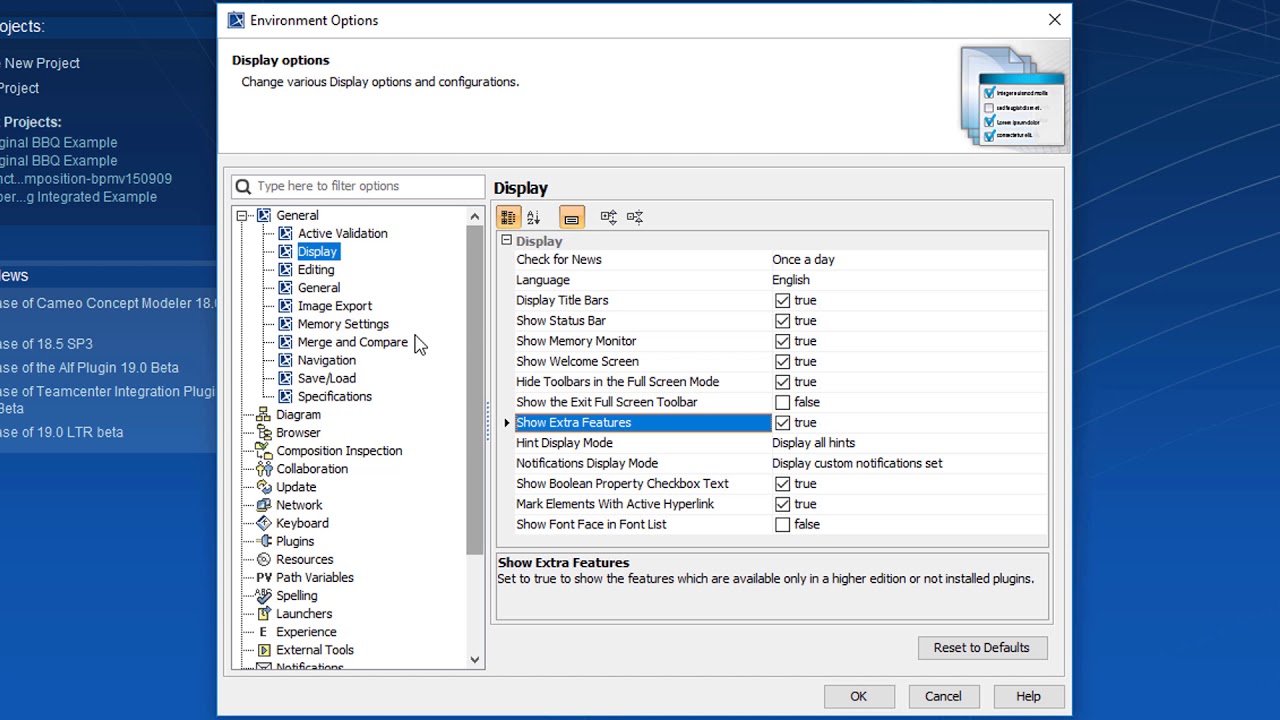 MagicDraw User Interface: Environment Options