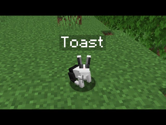 Minecraft Toast Easter egg: All you need to know