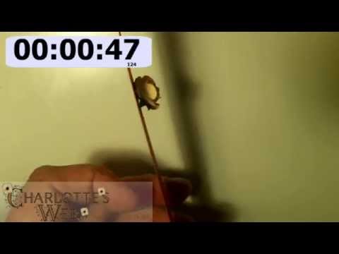 Testing Glues for Paper Craft - Helmar 450 Quick Dry Adhesive