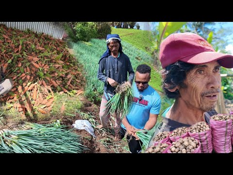 I spent the day with the farmers in the mountains ⛰️ Philippines 🇵🇭