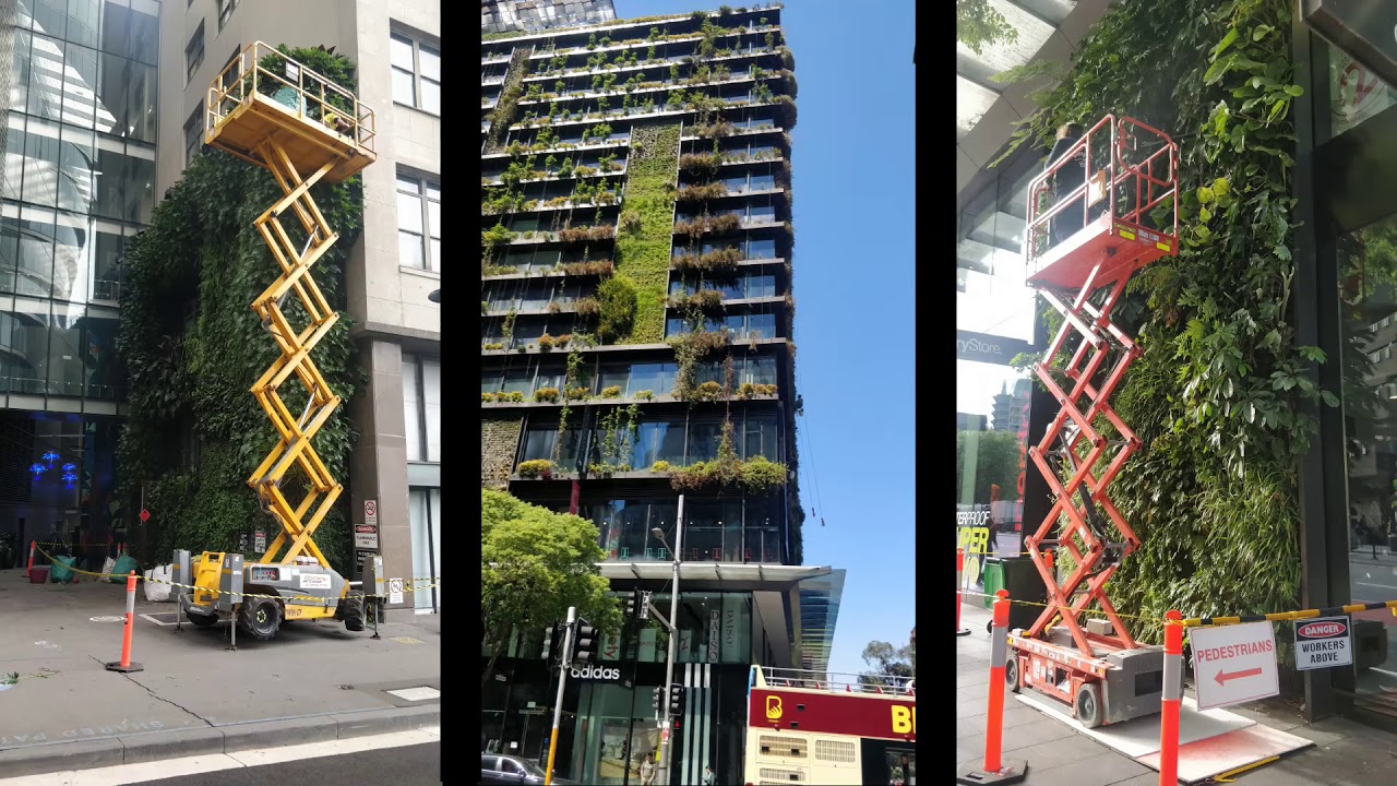 The Wallbot - a robotic system for green walls