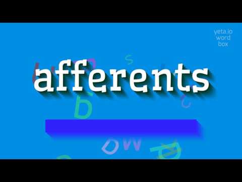 How to say "afferents"! (High Quality Voices)