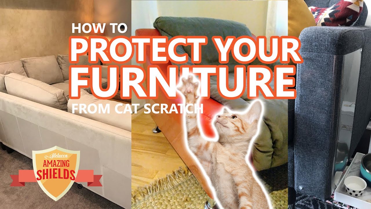 How to protect your couch from cat scratch. The best product to stop cats from scratching furniture.