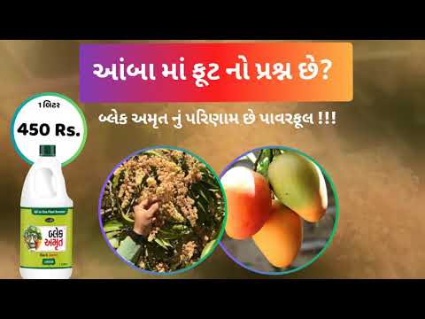 Akshar Farmtech, Sanand - Manufacturer of Plant Growth Promoter and ...