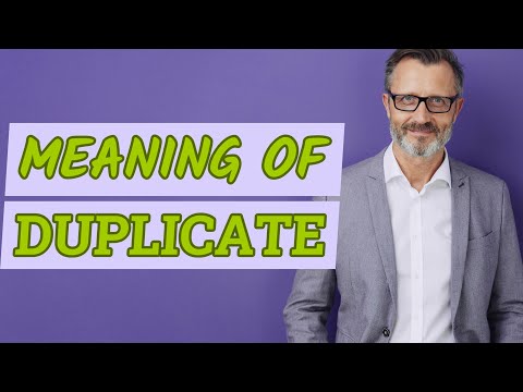 Duplicate | Definition of duplicate