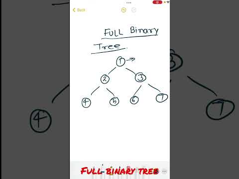 What is full binary tree - Tree data Structures and algorithm questions