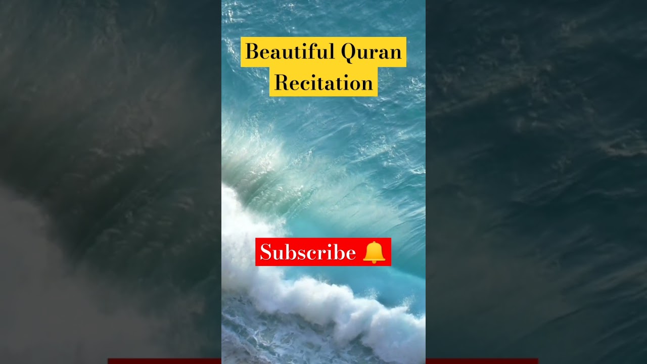 Beautiful Quran Recitation quran surah recitation quranrecitation