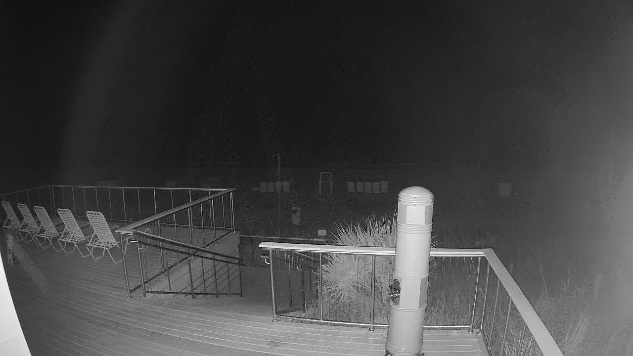 Palazzo Beach Cam