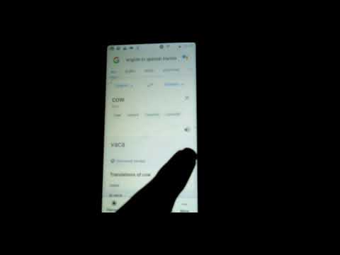 English to Spanish from google