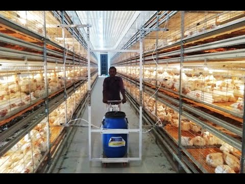 Manufacturer of Poultry Vaccinator & Battery Sprayer Pump And Power ...