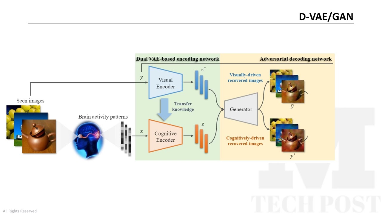 Reconstructing Seen Image from Brain Activity (Paper Summary)