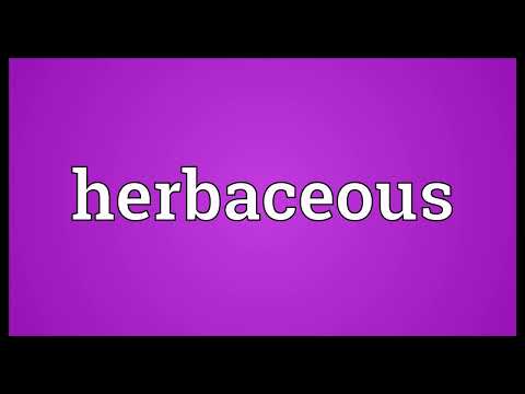 Herbaceous Meaning