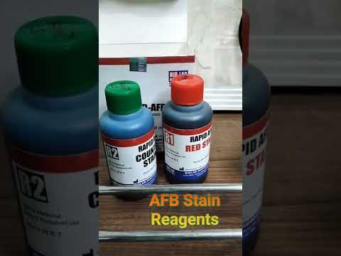Sputum for Afb staining#shorts