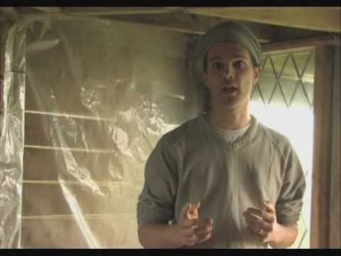 Tree House Documentary